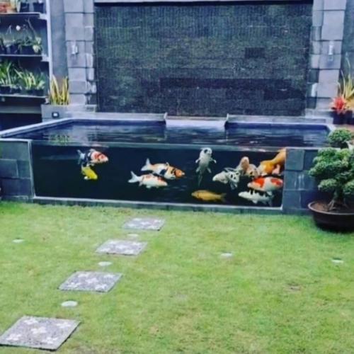 Jual kolam ikan koi model kaca - Kota Tangerang Selatan - ibad jaya ...