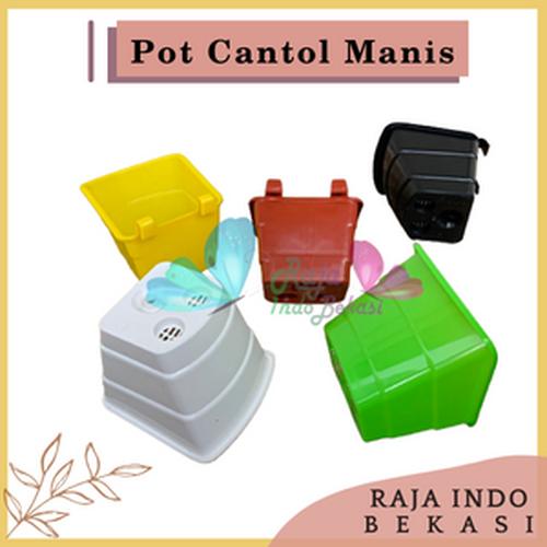Jual Pot Bunga Gantung Tempel Dinding Vertikal Garden Argo Mini Kotak ...