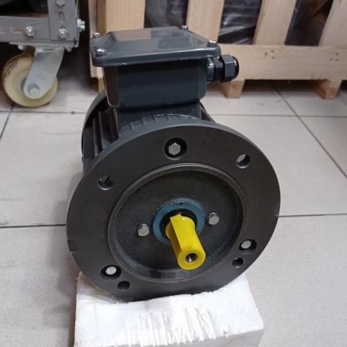 Jual Elektro Motor Teco AESU1S 1.1KW/1.5HP 4Pole 3Phase 50Hz B5 IP55 - Jakarta Barat - GLOBAL ...