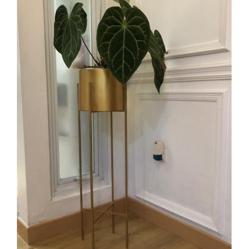 Jual TINGGI 1 METER BESI 8mm/RAK BUNGA MURAH/RAK BUNGA BESI/STANDING ...