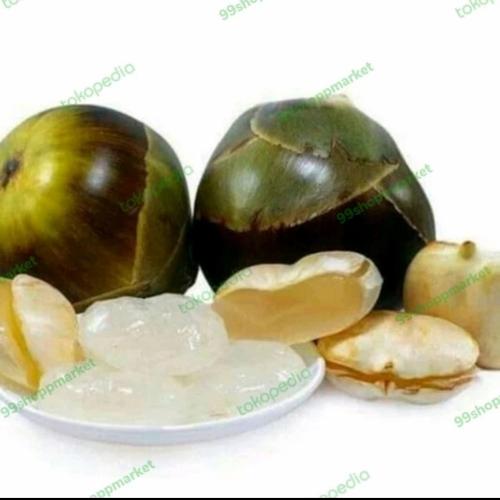 Jual Buah Lontar Bulat Utuh / pics - Jakarta Barat - Freshmart23 ...
