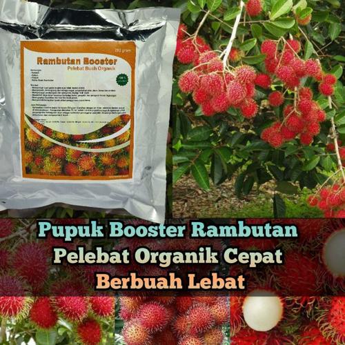 Jual Pupuk Organik Pelebat Buah Dan Booster Rambutan Cepat Berbuah Lebat - Kab. Kediri - IRM ...