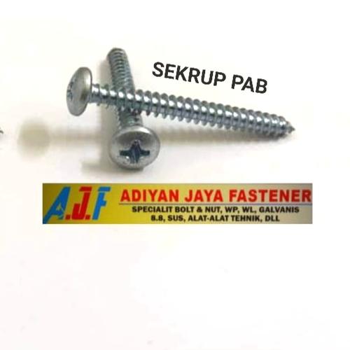 Jual TAPPING JP / SEKRUP PAB / SELF TAPPING SCREWS #8X11/2 INCHI (PUTIH ...
