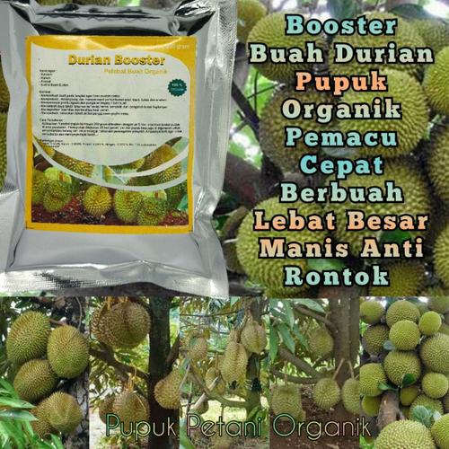 Jual Pupuk Organik Pelebat Buah Dan Booster Durian Cepat Berbuah Lebat - Kab. Kediri ...