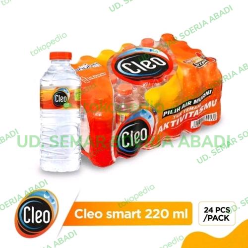 Jual air mineral botol 220ml CLEO isi 24pcs - Aquavit 240ml - Kota ...