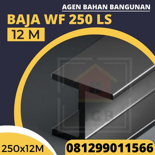 Jual WF 250 x 12 mtr - Besi Baja LS Wide Flange Beams (Harga Grosir ...