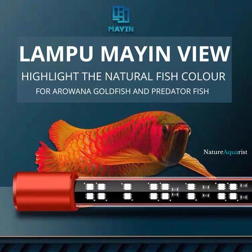 Promo Lampu Mayin View Led Aquarium Ikan Arowana Arwana Goldfish ...