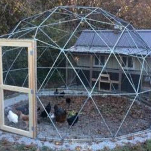 Jual AVIARY GEODESI DOME RAM & KACA - Kab. Bogor - Glampingzona | Tokopedia