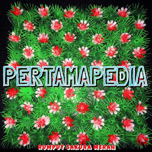 Jual Rumput Sintetis Hias/ Rumput Buatan/ Rumput Bagus - Merah Muda ...