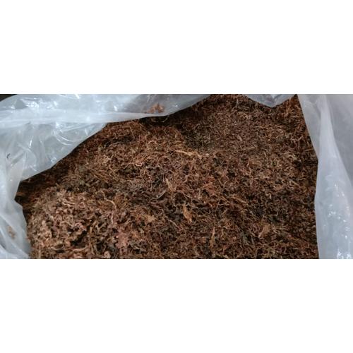Jual Tembakau Pabrikan Djarum Super Bako Super 1kg - Kota Surakarta ...