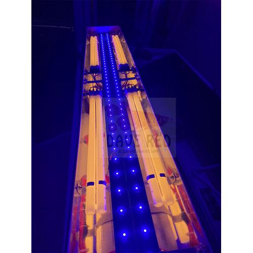 Jual 4 PLL 2 Baris HPL LED 3 Watt Lampu Hard Tanning Arwana Super Red ...