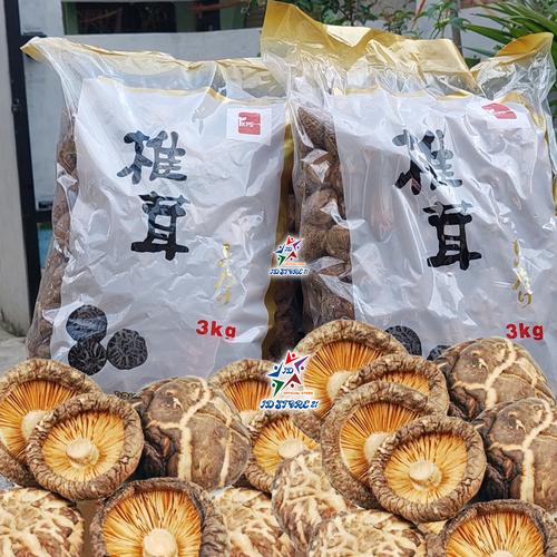 Jual Jamur Shitake Hioko Xiang Gu Fragrant Mushroom Premium 25g 50g ...