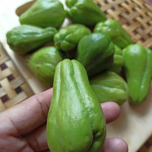Jual Sayur Segar Labu Siam Acar Kecil Small Choko Chayote 100 gr - 1 kg ...