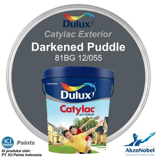 Jual CAT DULUX CATYLAC EXTERIOR 5 KG - DARKENED PUDDLE 81BG 12/055 ...