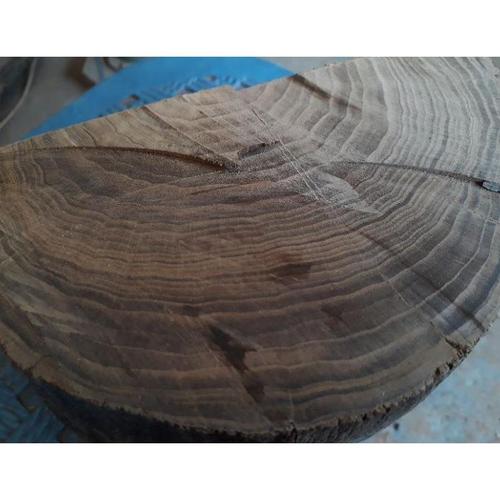 Jual bahan kayu klampis ireng berat 1kg gram - Jakarta Selatan ...