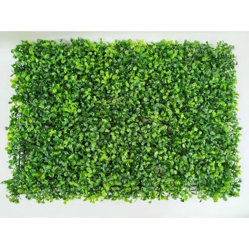 Jual DAUN DINDING SINTETIS - DAUN DOLAR DOLARAN - TANAMAN ARTIFICIAL ...