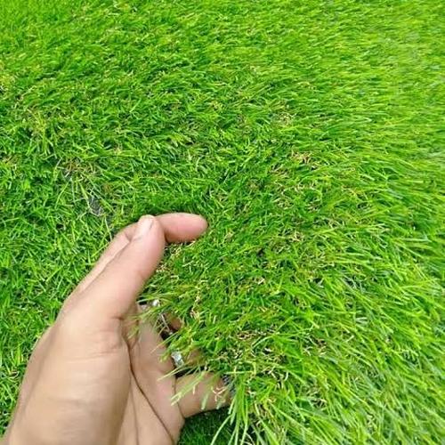 Jual rumput sintetis jenis Jepang ukuran 1m x 1m - Kab. Bogor - Taman ...