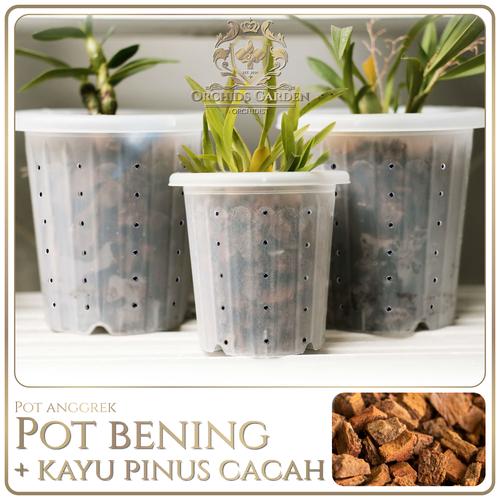 Jual Pot Anggrek Transparan Akar Sehat Pot Lubang Pinggir Pot Plastik ...