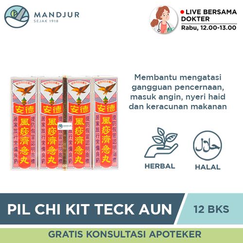 Jual Pil Chi Kit Teck Aun (12 bungkus) - Obat Sakit Perut, Mabuk ...