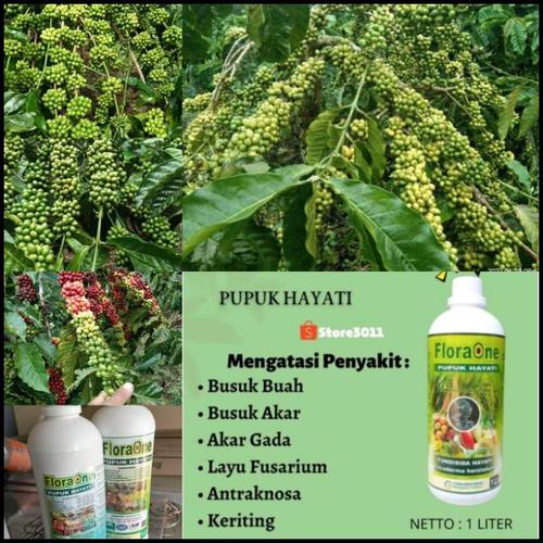 Jual Pupuk Hayati Specialis Obat Layu Fusarium Cabe Fungisida Padi Kacang - Jakarta Pusat ...