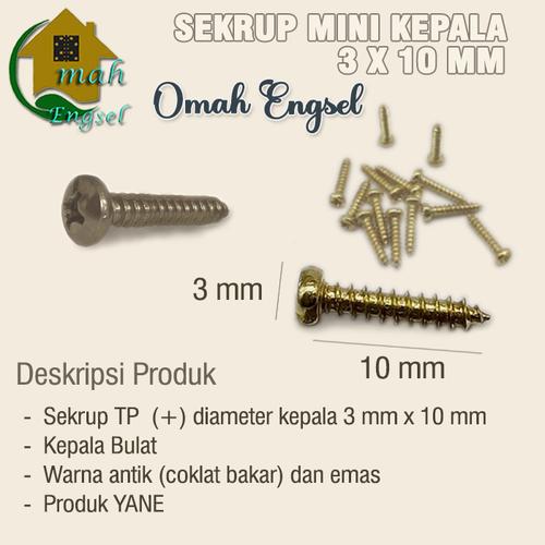 Jual Sekrup mini skrup mini kepala 3 x 10 mm antik baut screw eceran A ...