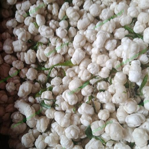 Jual pilus cikur original daun jeruk kemasan 250 gram - Kab. Bandung ...