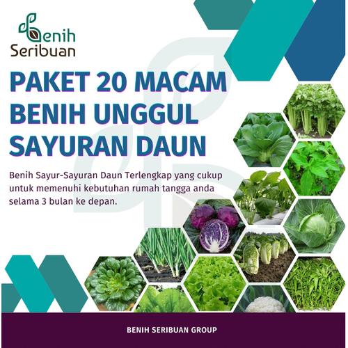 Promo Benih Sayuran Daun Paket 20 Macam Bibit Sayur Unggul Kangkung ...