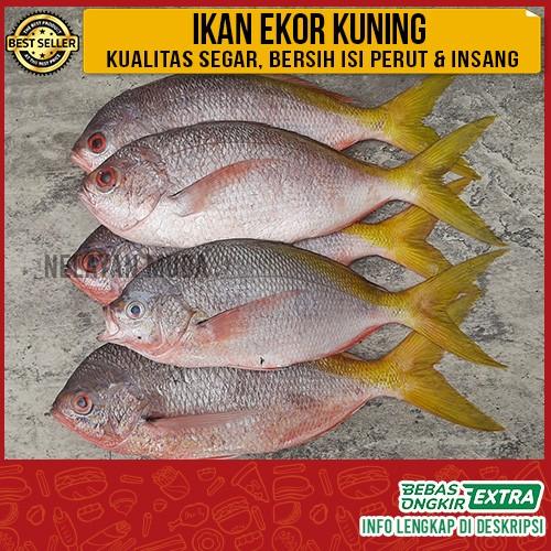 Jual Ikan Ekor Kuning Segar 1kg 3-4 Ekor / Ikan Segar Fresh - 500 gram ...