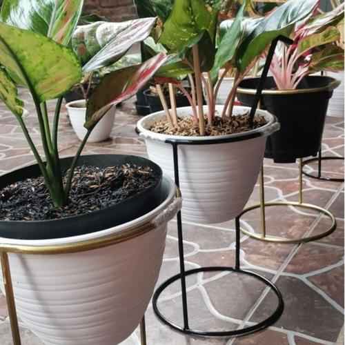Jual STANDING POT BESI 2 KAKI/RAK BUNGA BESI/RAK BUNGA MURAH - 60 CM ...