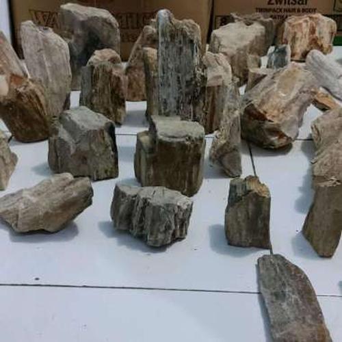 Jual BATU FOSIL KAYU HIASAN AQUARIUM AQUASCAPE - Kota Bandung - JN ...