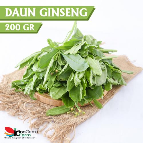 Jual Daun Ginseng Fresh 200 Gram Inagreen Farm Bandung - Kota Bandung ...