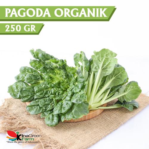 Jual Sayur Pagoda Organik Inagreen 250 Gram Bandung - Kota Bandung ...
