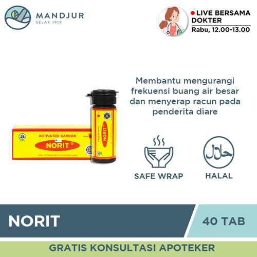 Jual Norit Karbon Aktif 40 Tablet - Obat Diare, Kembung, dan Penyerap ...