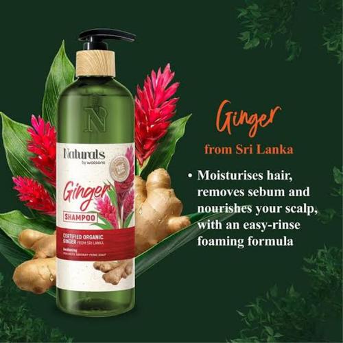 Jual Naturals By Watsons Shampoo Coffee / Olive Shampoo 490ml ORI ...