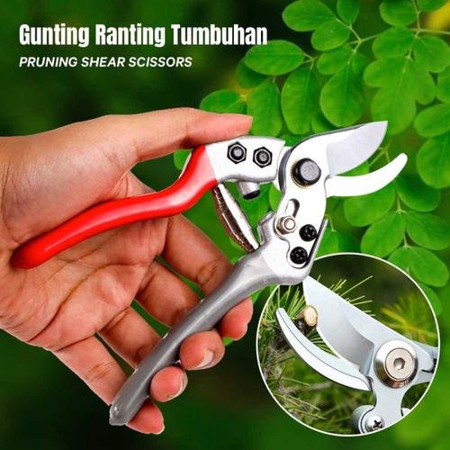 Jual Gunting Dahan Ranting Kayu Batang Tanaman Tumbuhan Bunga Tajam ...