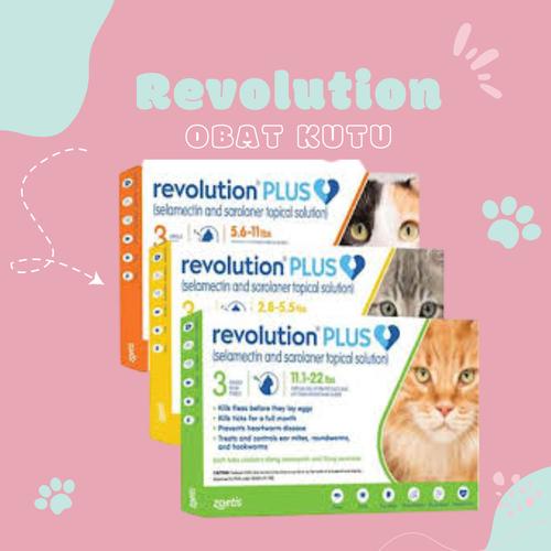 Jual Revolution PLUS for Cat & Kitten - Obat Anti Kutu Kucing - GOLD ...