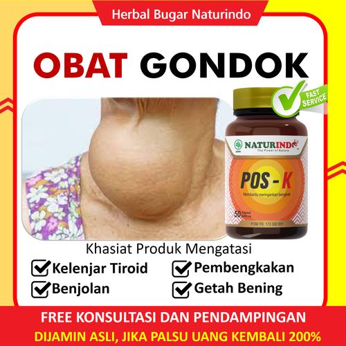 Jual Obat Gondok Kelenjar Getah Bening Kelenjar Tiroid POS K Naturindo ...