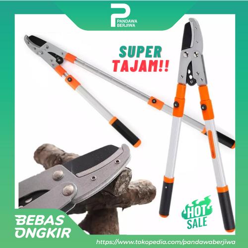 Jual Gunting Ranting Pohon Gagang Panjang Dahan Pemotong Besar Baja Carbon - Gunting Panjang ...