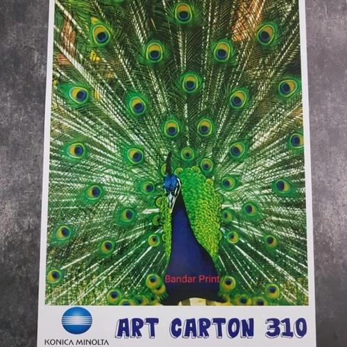 Jual Digital Print A3+ Cetak Art Carton 310 1 Sisi + Potong - Jakarta ...