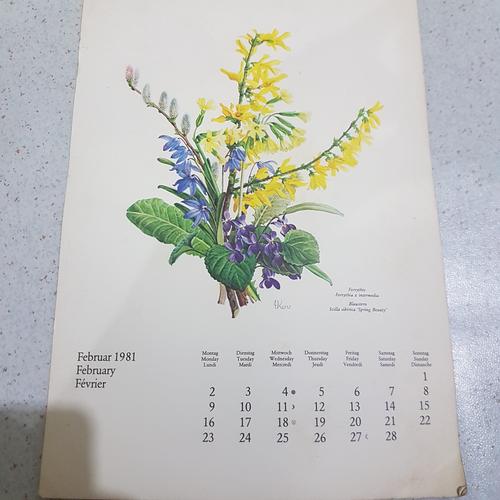 Jual Kalender asli cetakan 1981 Jerman bulan Februari 1981 gambar bunga ...