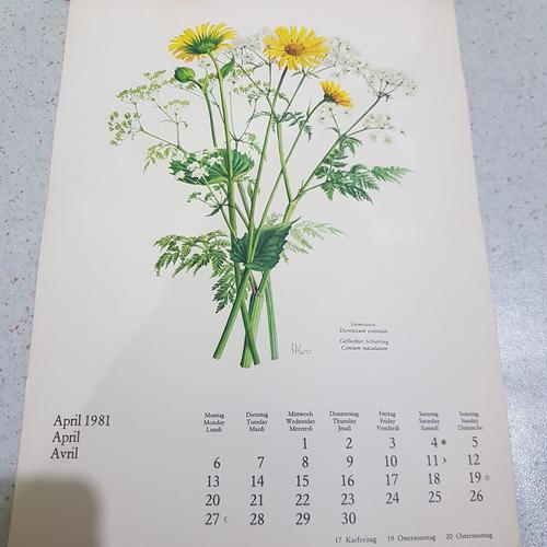 Jual Kalender asli cetakan 1981 Jerman bulan April 1981 gambar bunga ...