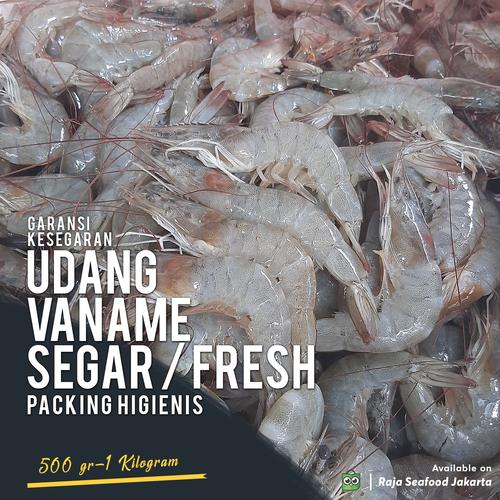 Jual Udang Vaname Segar 500gr Ak 60-70 FRESH Udang Vannamei - Udang ...