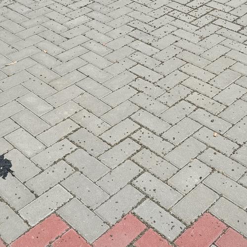 Jual Paving Block Super Conblock Beton Gressblock Kanstin Taman (SNI ...