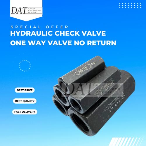 Jual Check Valve Hydraulic One Way Valve Non Return Valve 3000 PSI Type ...