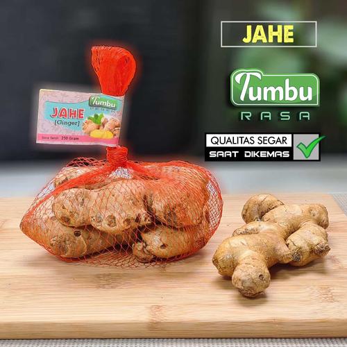 Jual Bumbu JAHE besar 1 KG [250g, 500g] - rempah segar Ginger - 250 ...