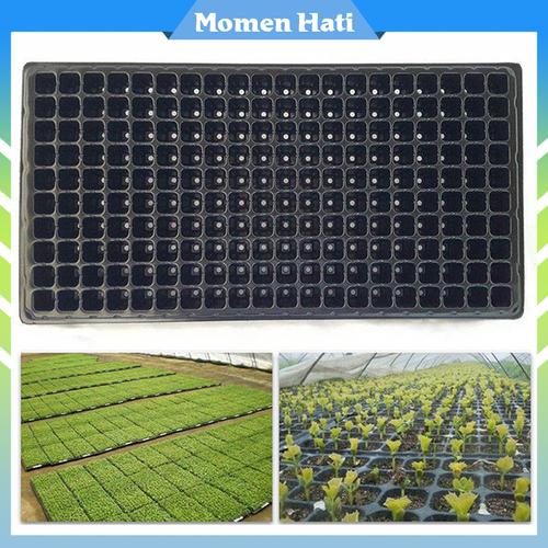 Jual 100Pcs Tray Semai / Tray Semai 200 Lubang / Tray Semai 128 Lubang ...