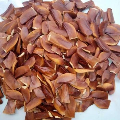 Jual Benih Biji Mahoni Maoni Super - Kab. Kediri - UD_Bibit Tabriiz ...