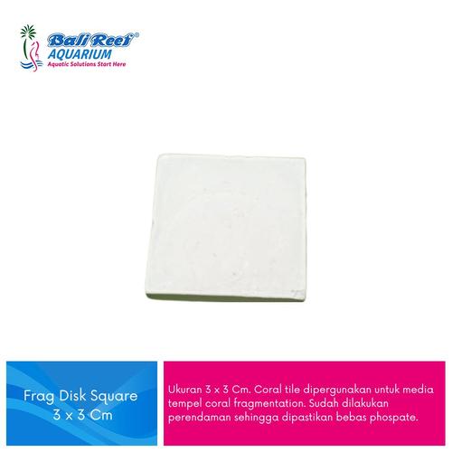 Jual Coral Frag Disk Frag Tile Ukuran 3 x 3 Cm - Kota Denpasar - Bali ...
