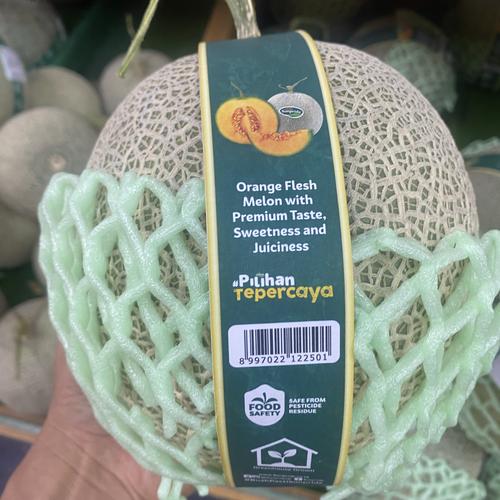 Jual MELON FUJISAWA MANIS/ MELON DAGING OREN FUJISAWA SUNPRIDE GOLD 1,8 ...