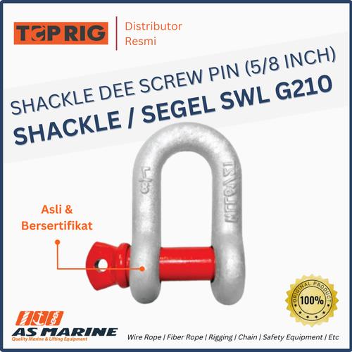 Jual Shackle Dee / Segel D TOPRIG G210 Screw Pin 5/8 Inch (3.25 Ton ...